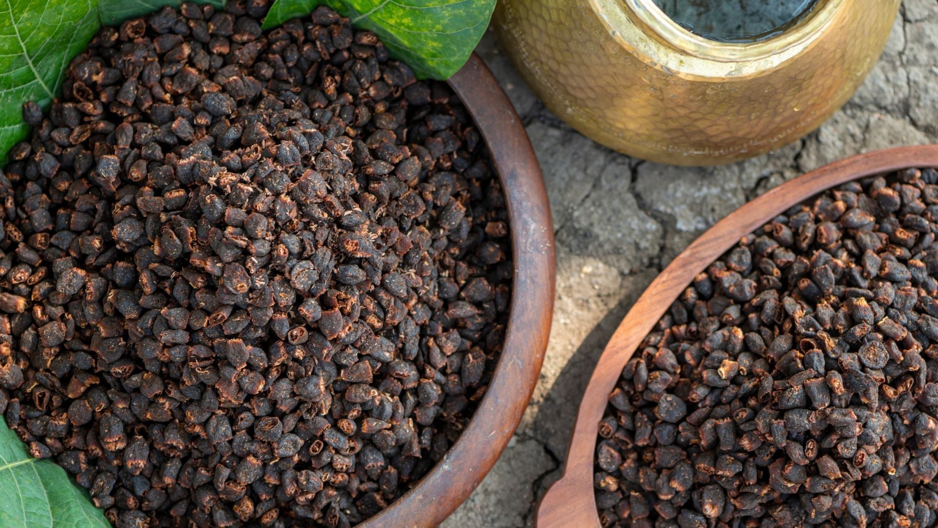 Mahua: The Forest Gold That Sustains Tribal Maharashtra – Shabari Naturals